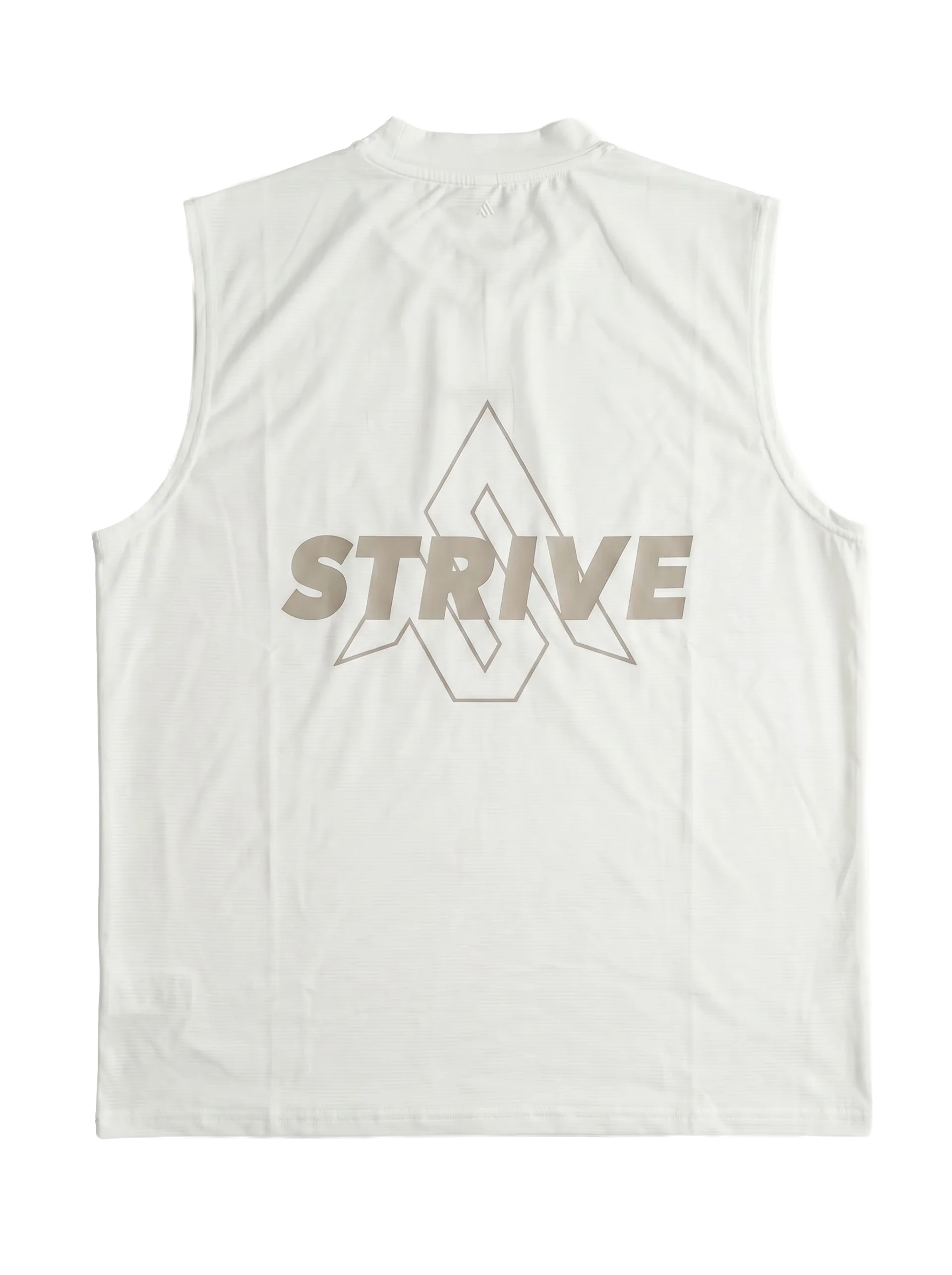 Strive Performance